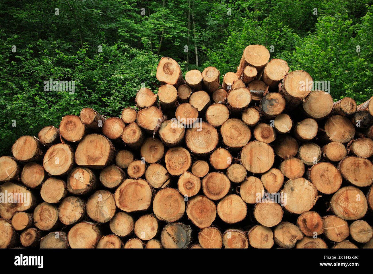 wooden batch, detail, wood, wooden, firewood, trunks, strains, wooden ...