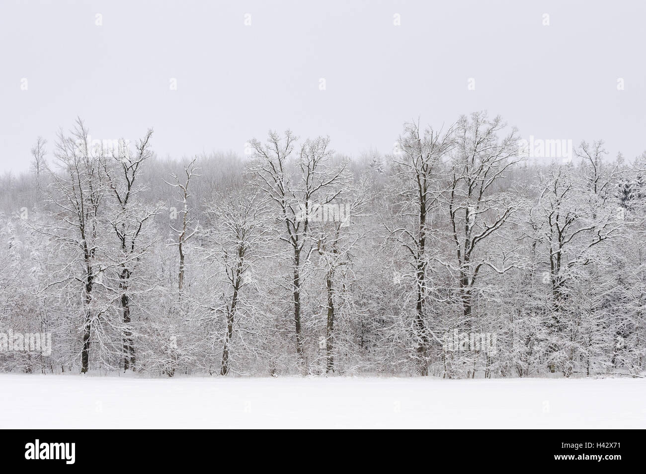 Nightmare scenery hi-res stock photography and images - Alamy