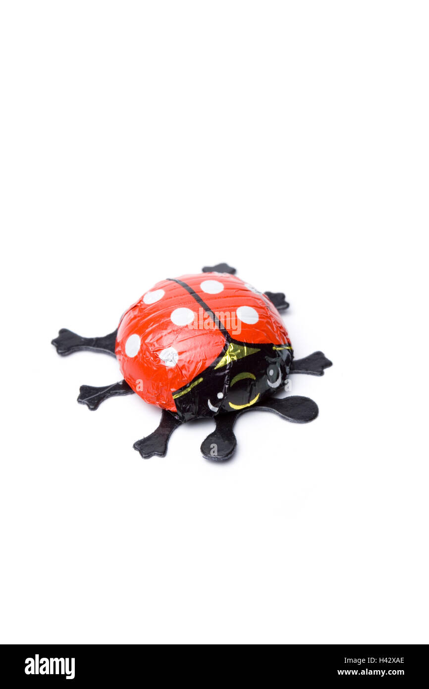 Ladybird ladybird still hi-res stock photography and images - Alamy