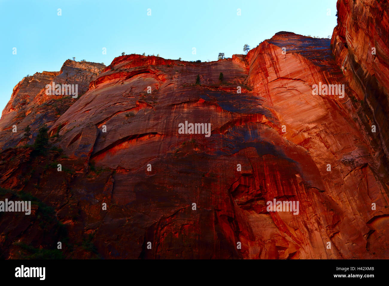 Zion National Park, Utah Rock Formations Stock Photo - Alamy