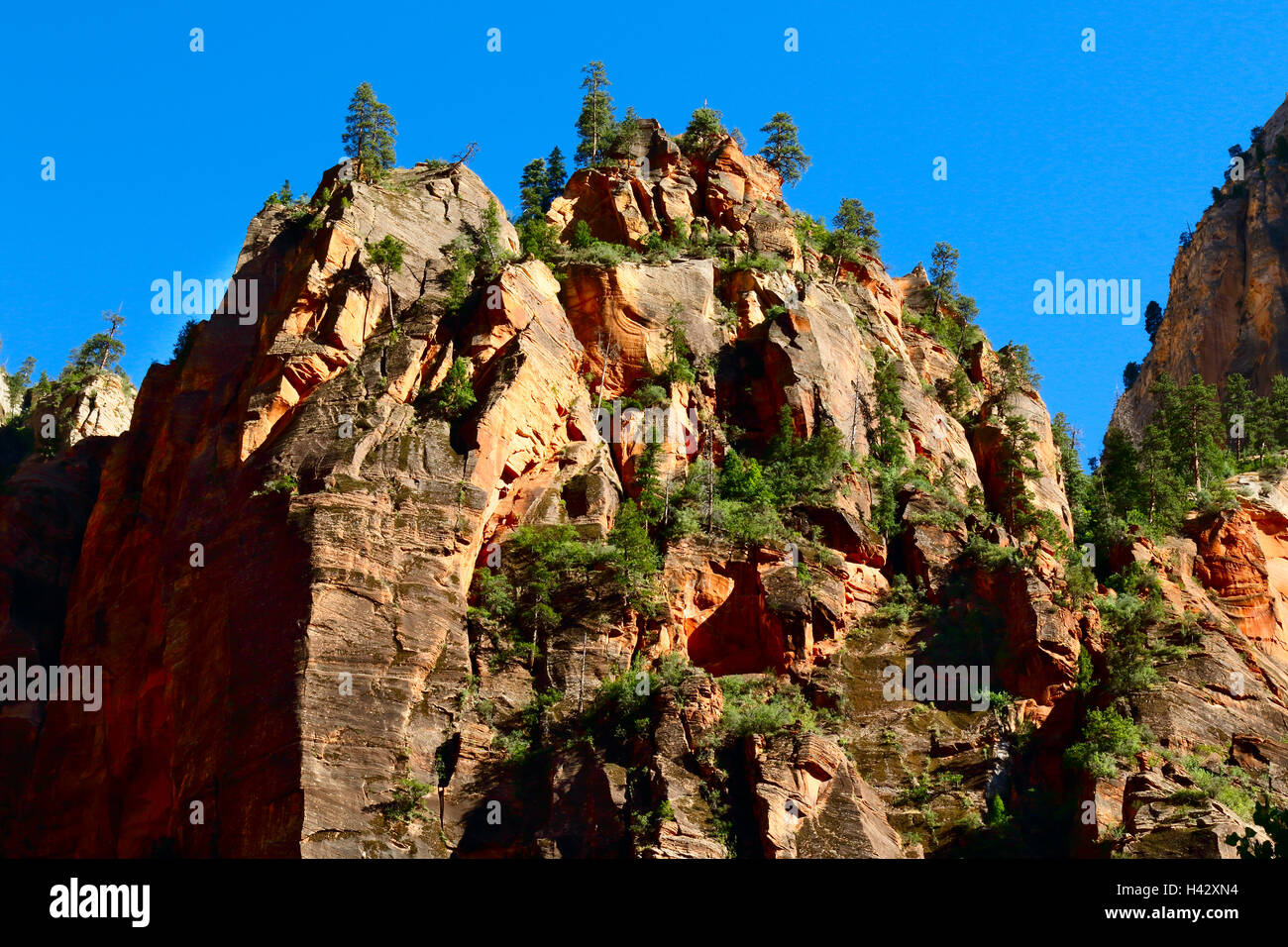 Zion National Park, Utah Rock Formations Stock Photo - Alamy