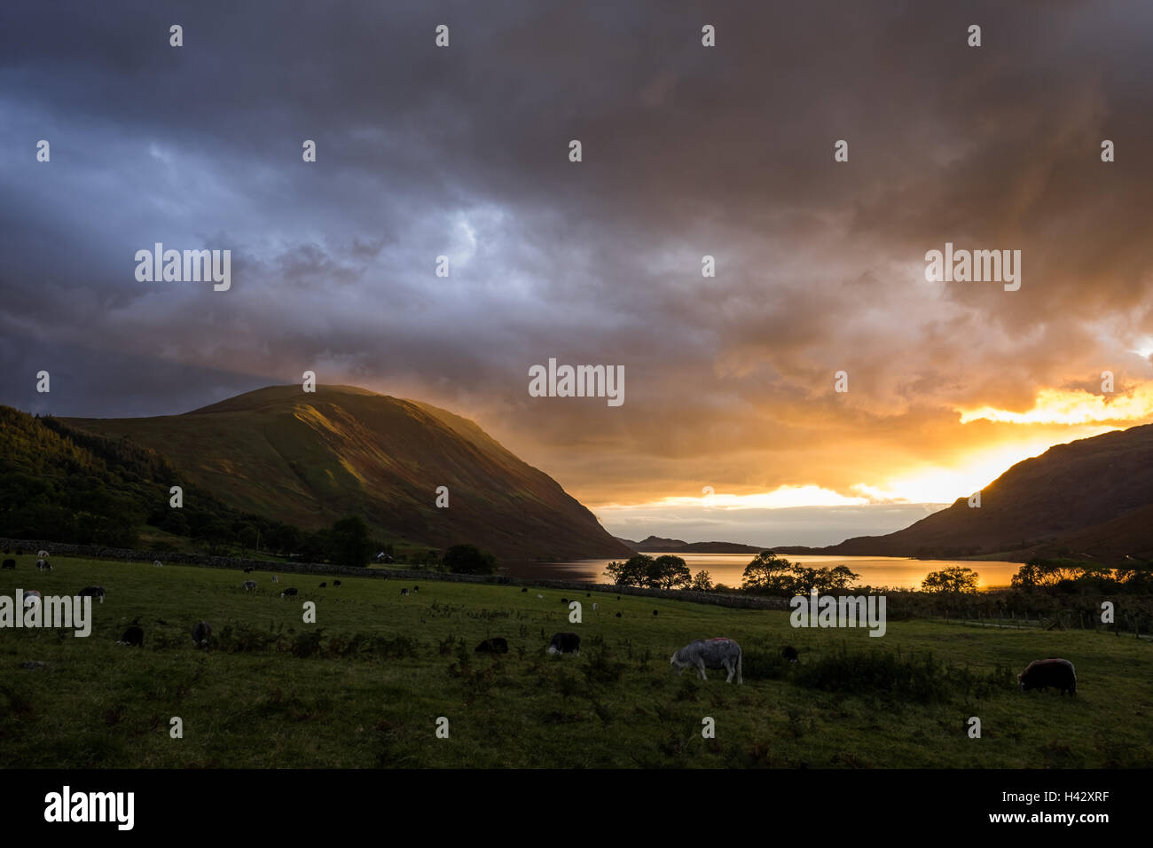 The Screes & Wast Water illuminated by the setting sun, Lake District ...