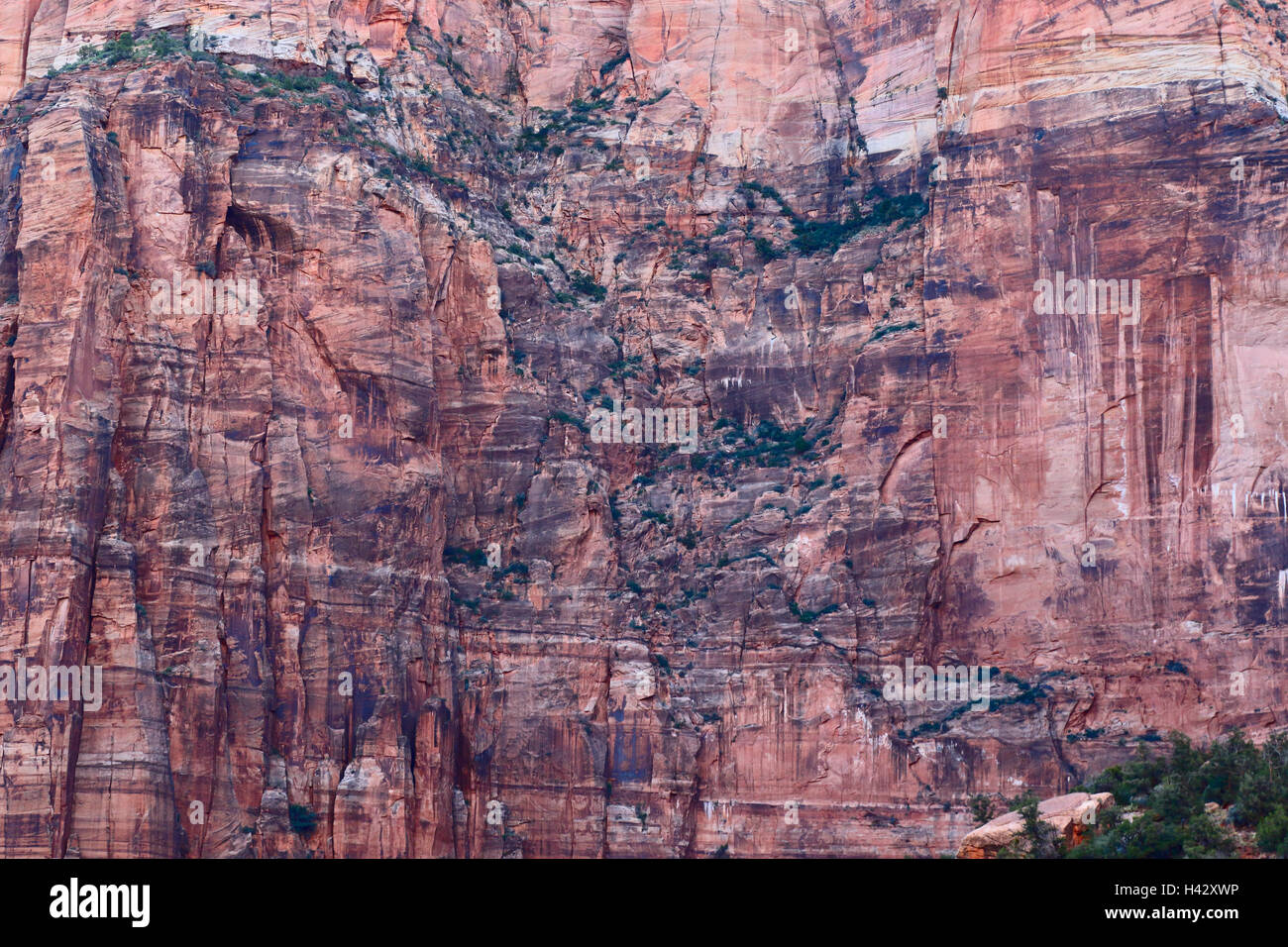 Zion National Park, Utah Rock Formations Stock Photo - Alamy