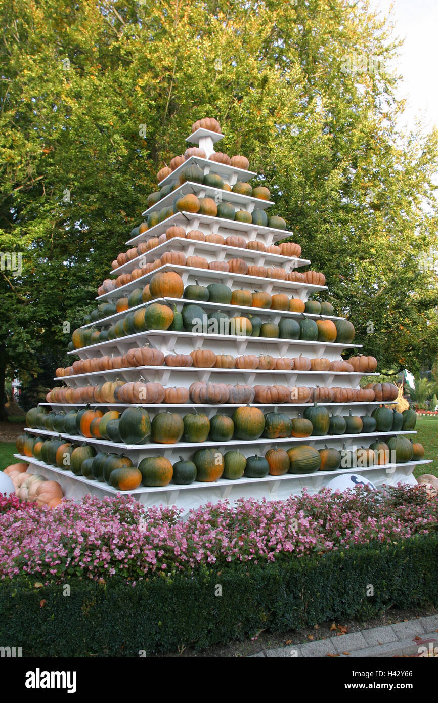 Thanksgiving Day, park, pyramid, shelves, pumpkins park, season, late ...