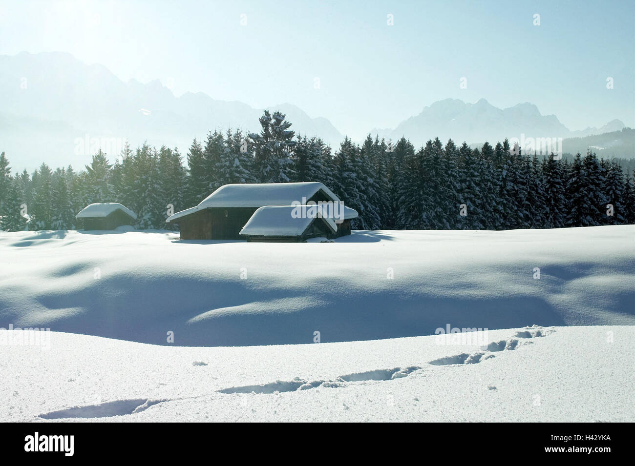 Edge the forest, wooden hut, snow-covered, snow surface, tracks hut ...