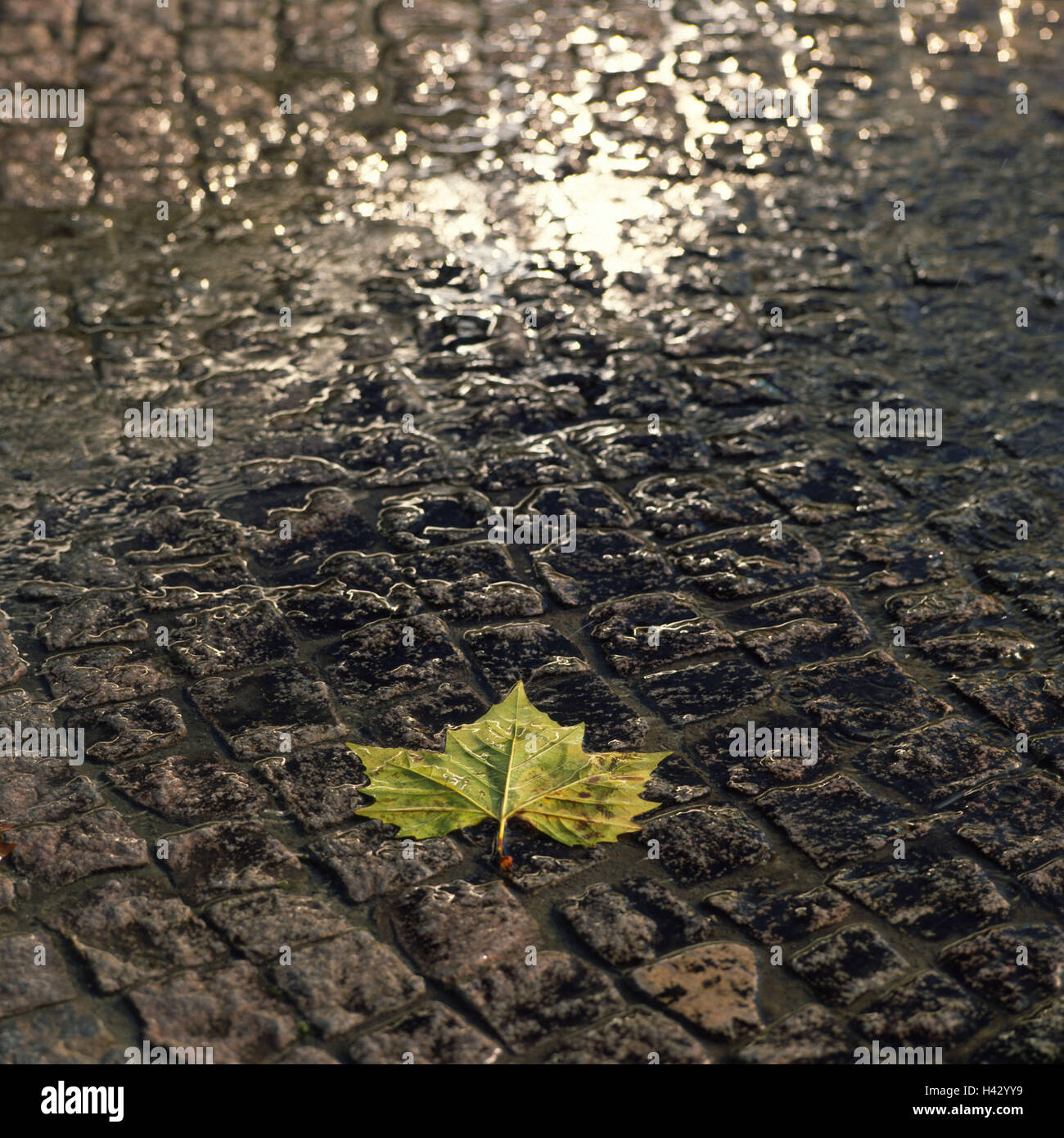 Weather season seasons hi-res stock photography and images - Alamy