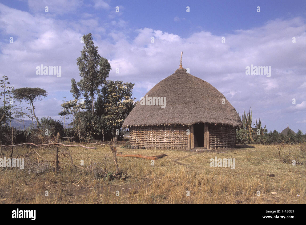 Shewa hi-res stock photography and images - Alamy