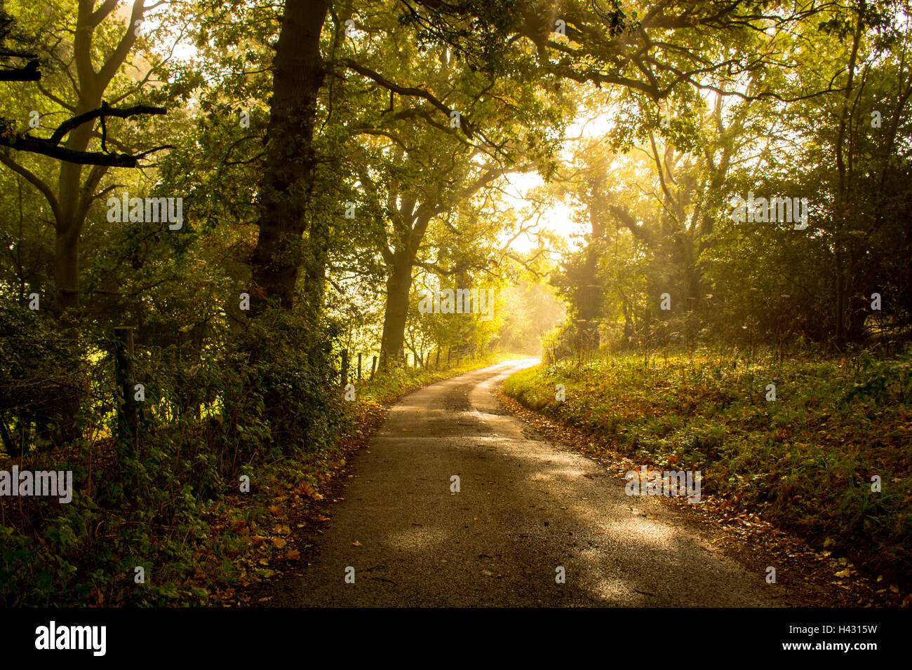 English country rural lane in hi-res stock photography and images - Alamy