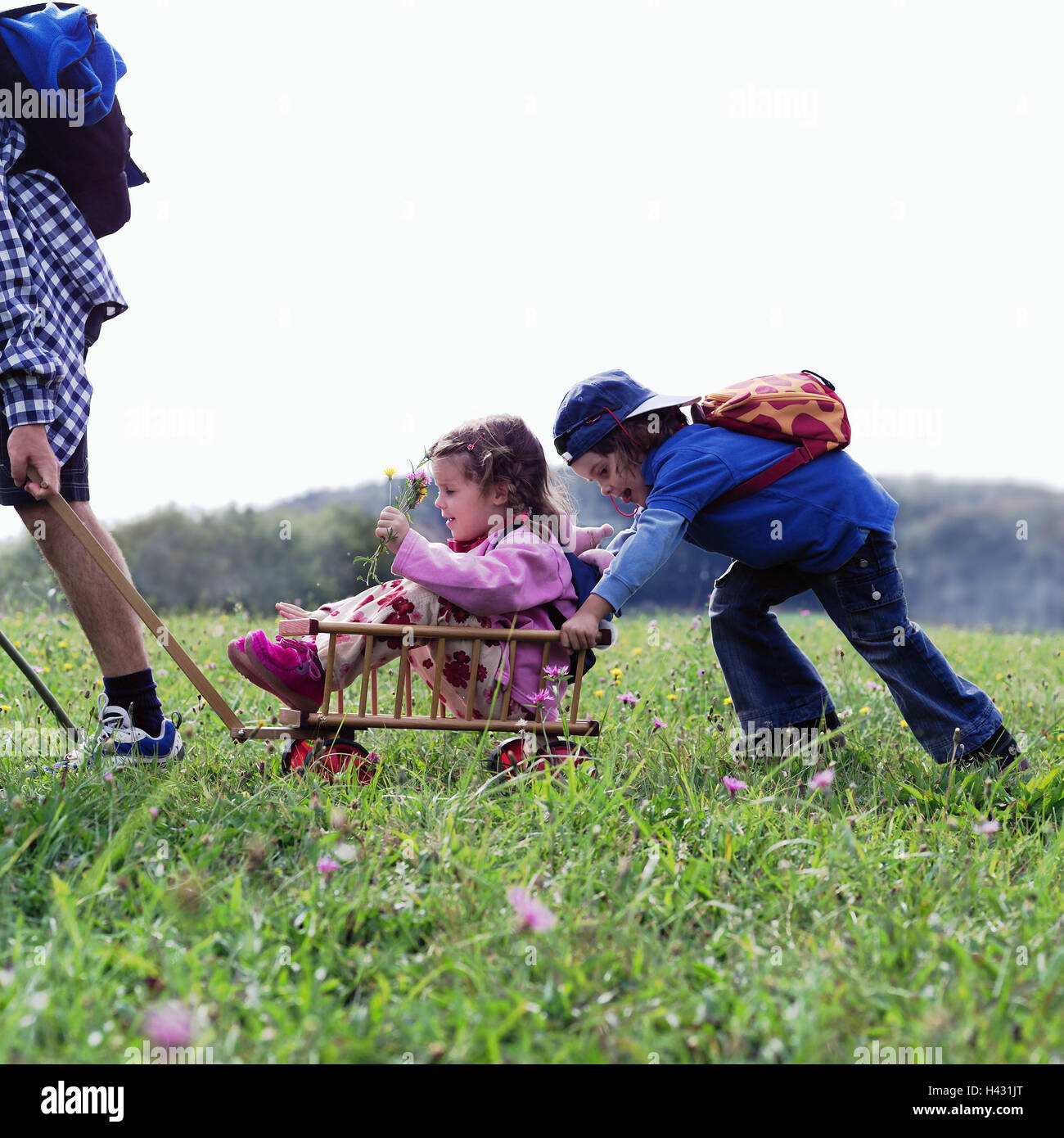 Meadow, man, curled, handcarts, drag, girls, sit, push sister, side ...