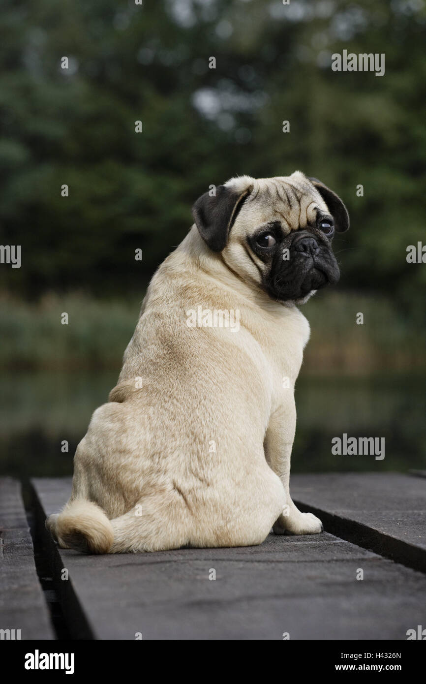 Look around hi-res stock photography and images - Alamy