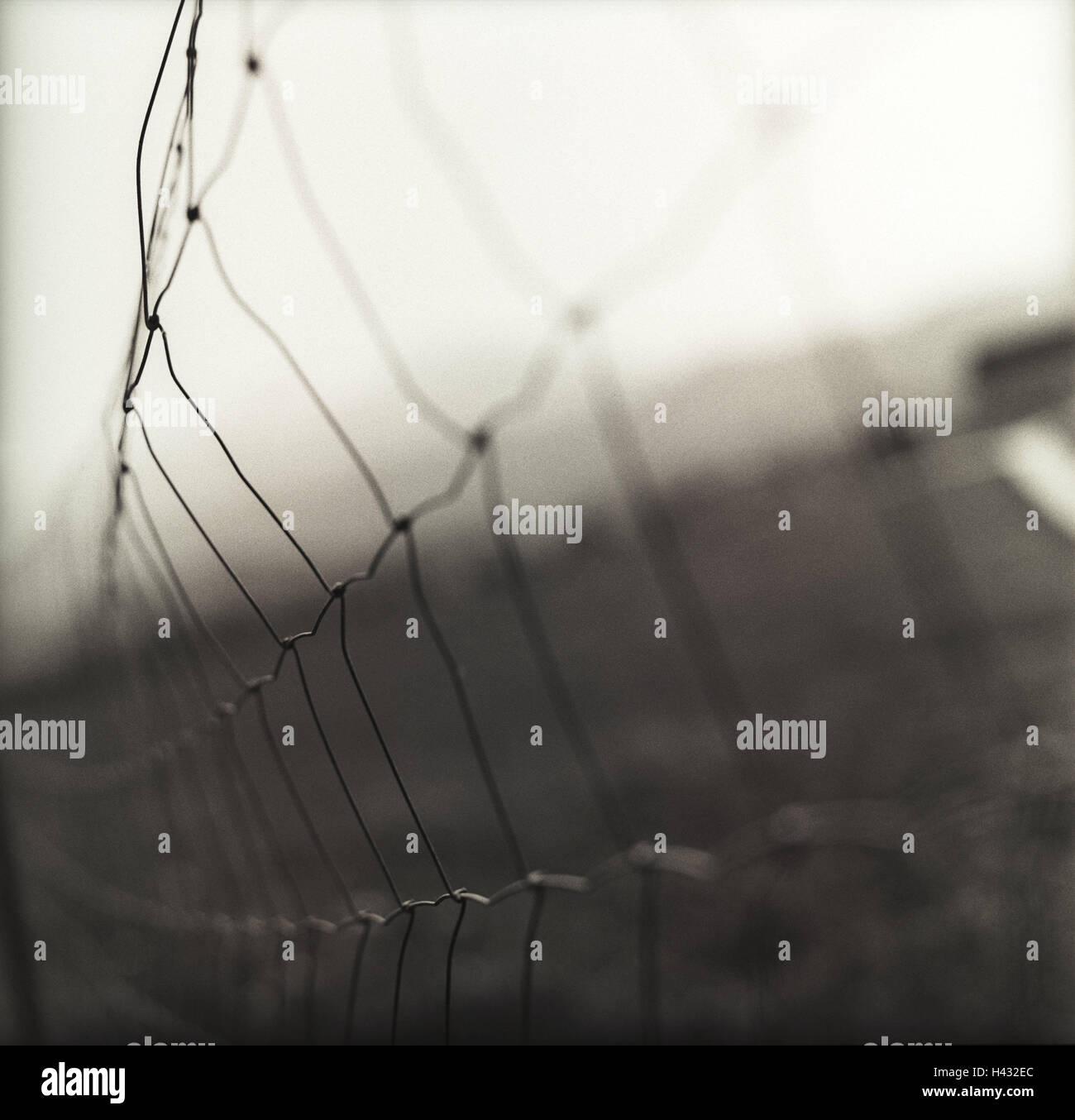 Mesh wire fence, detail, fence, wire netting, wire, wire fence ...