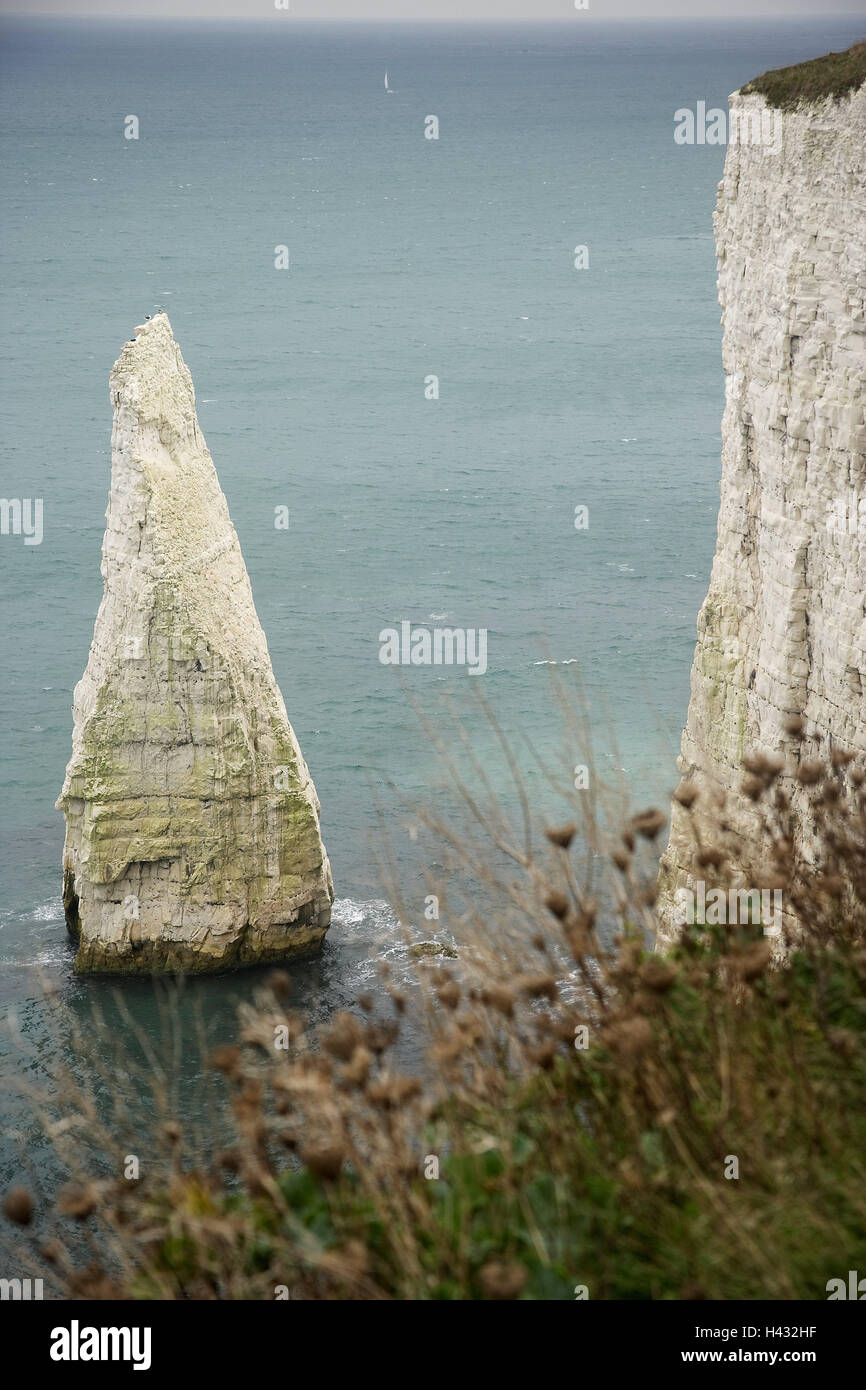 Great Britain, south narrow country, law coast, cliffs, Old Harry's ...
