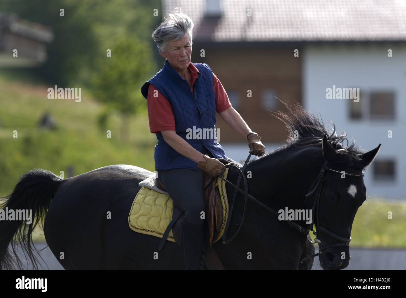 Riding space, woman, senior, horse riding, sport, hobby, leisure time ...