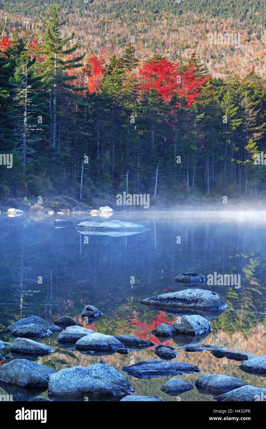 New england usa forest hi-res stock photography and images - Alamy