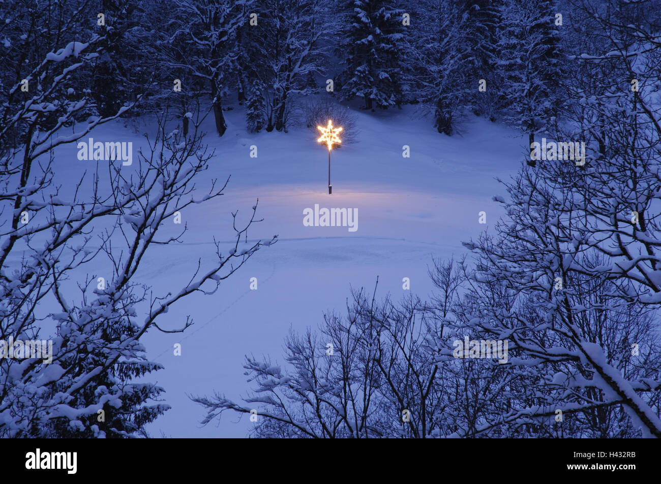 Winter scenery, star of Bethlehem, wood, snow, shine Stock Photo - Alamy