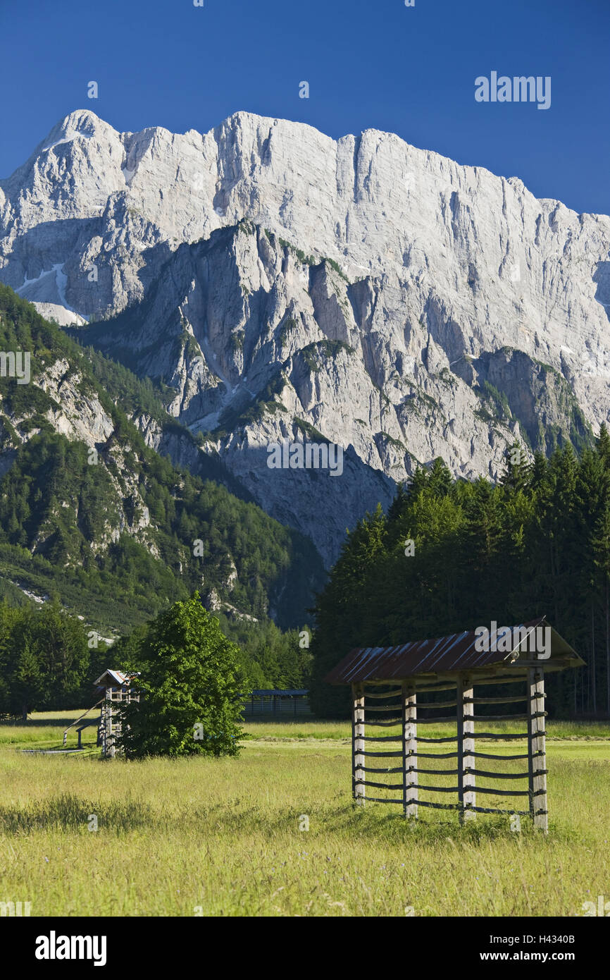 Slovenia, Mojstrana, field, wood, mountains, limestone Stock Photo - Alamy
