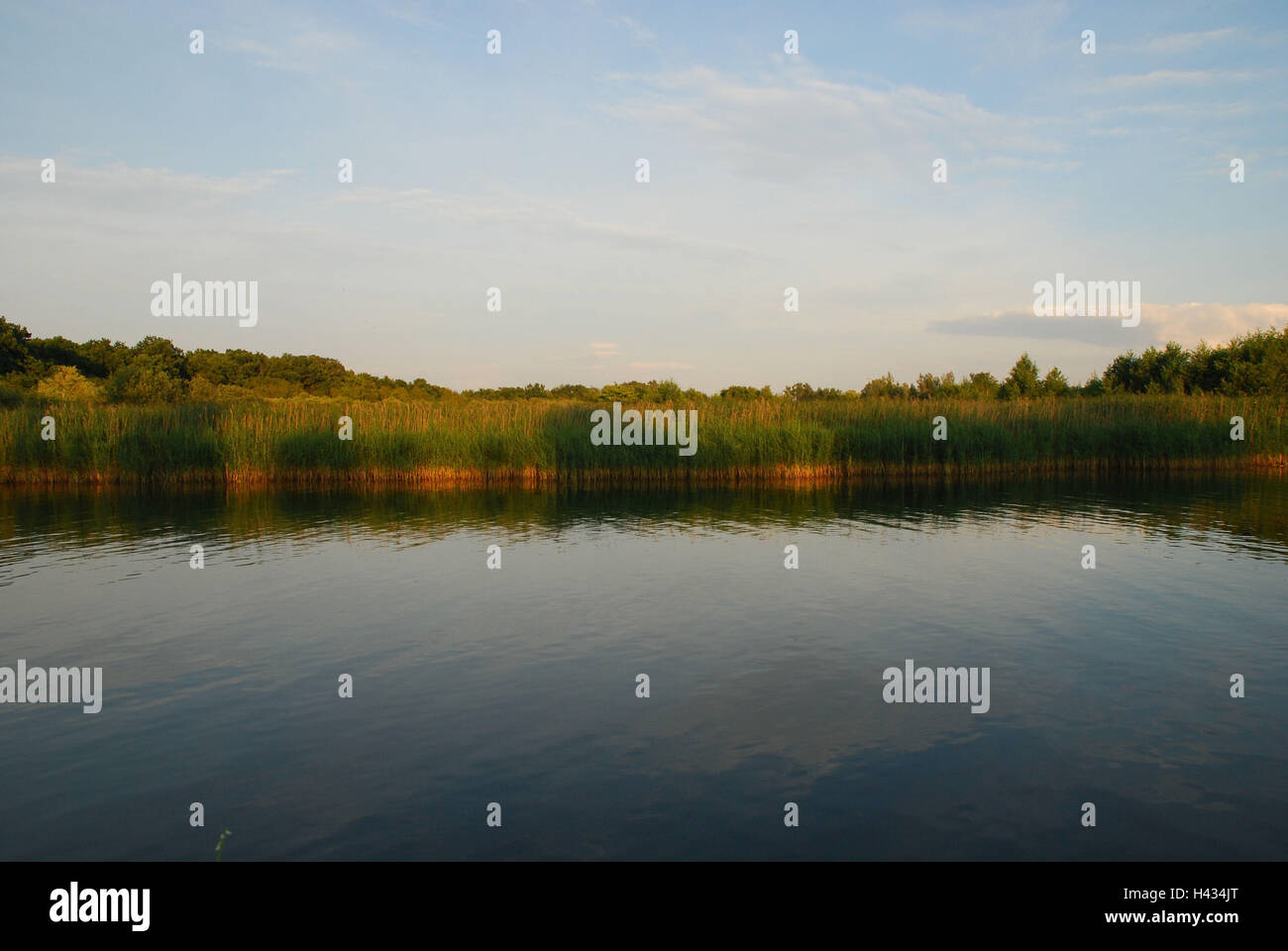 Germany, Mecklenburg-West Pomerania, Mecklenburg lowland plain full ...