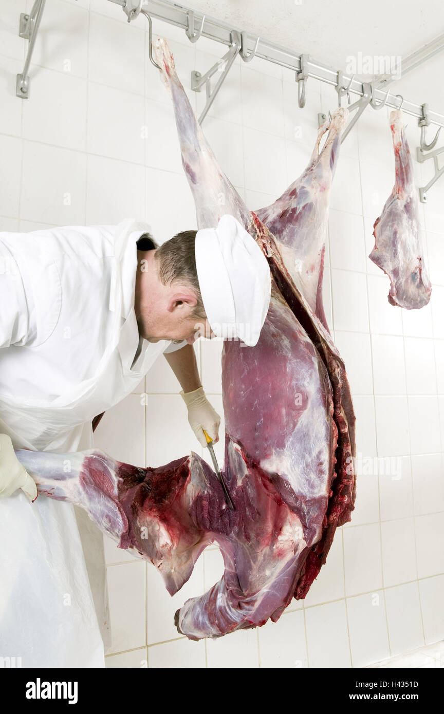 Butchers, knives, deer, disassemble, elastic gloves, hygiene, butcher's ...