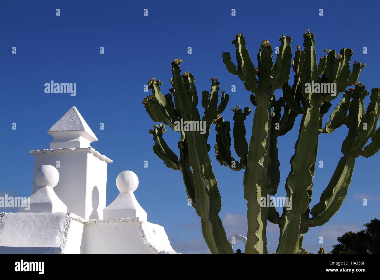 Spain, Canaries, island Lanzarote, Tahiche, Foundacion Cesar Manrique ...