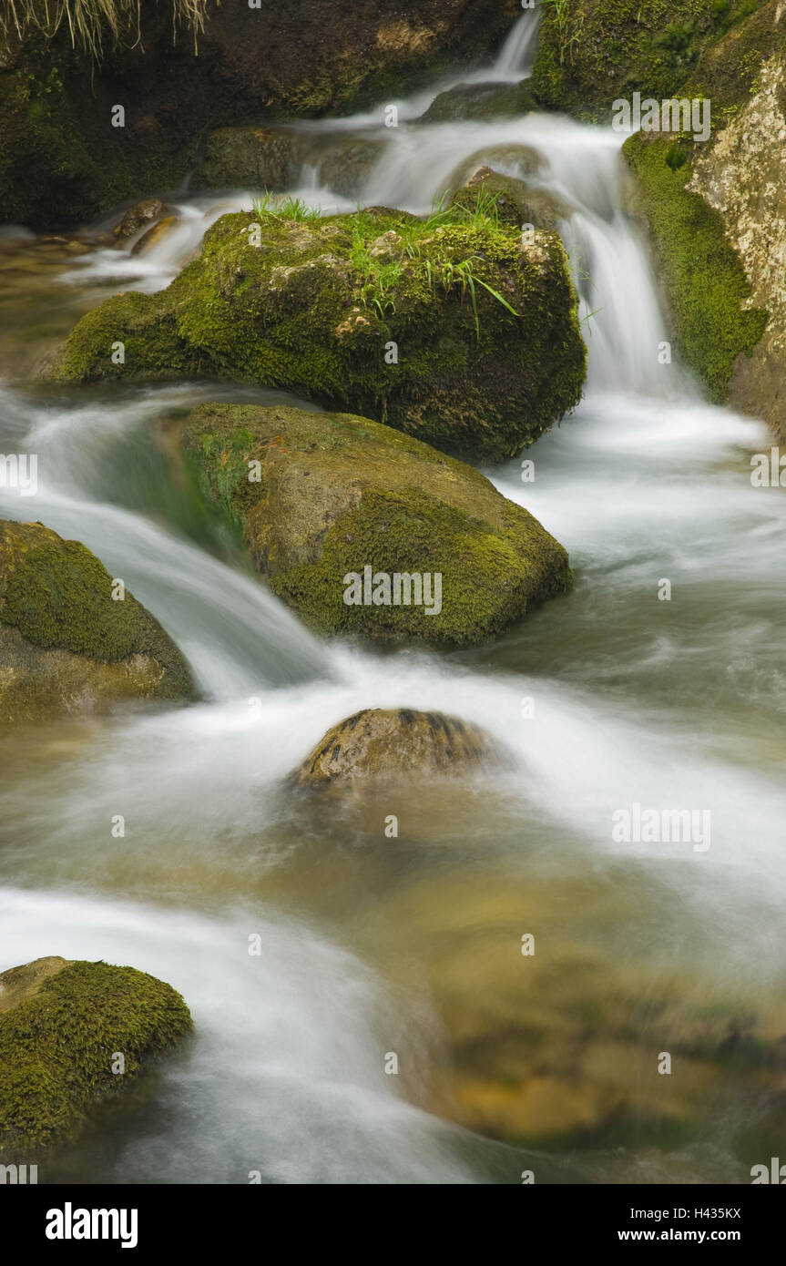 Mountain Varinka, Stefanova, National Park 'Mala Fatra', Zilina ...