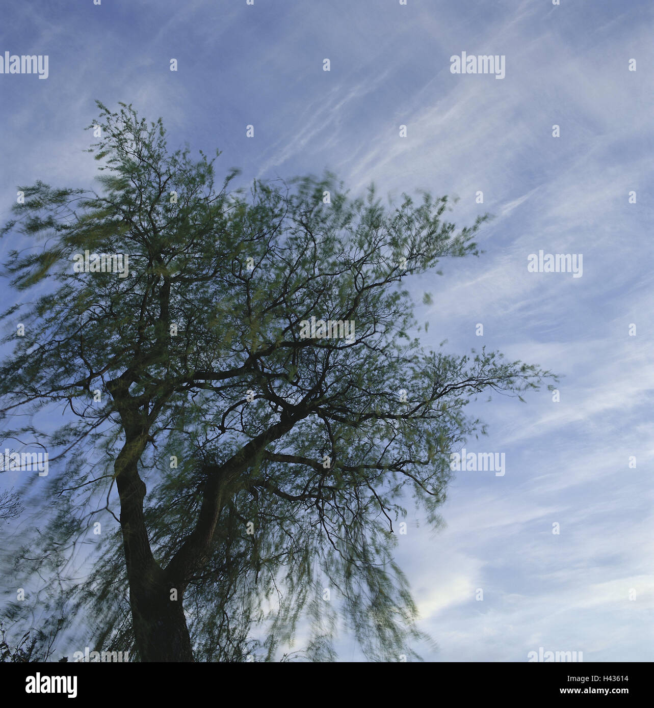 Veil clouds hi-res stock photography and images - Alamy