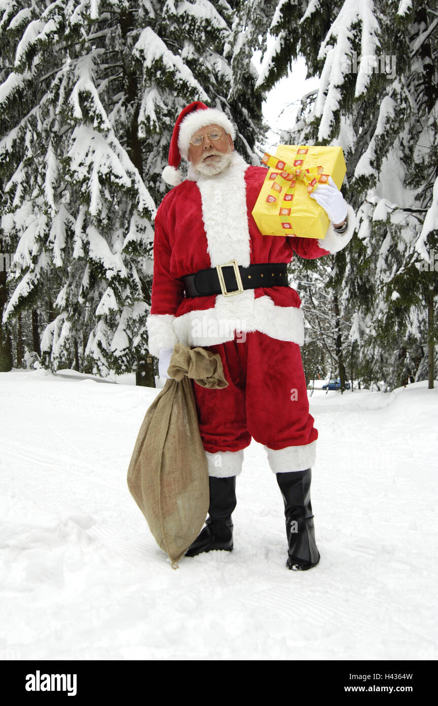 Winter wood, Santa Claus, present, jute pouch, carry, portrait ...