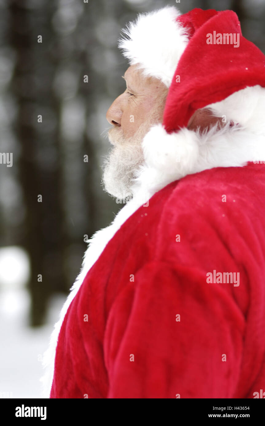 Side forest hi-res stock photography and images - Alamy