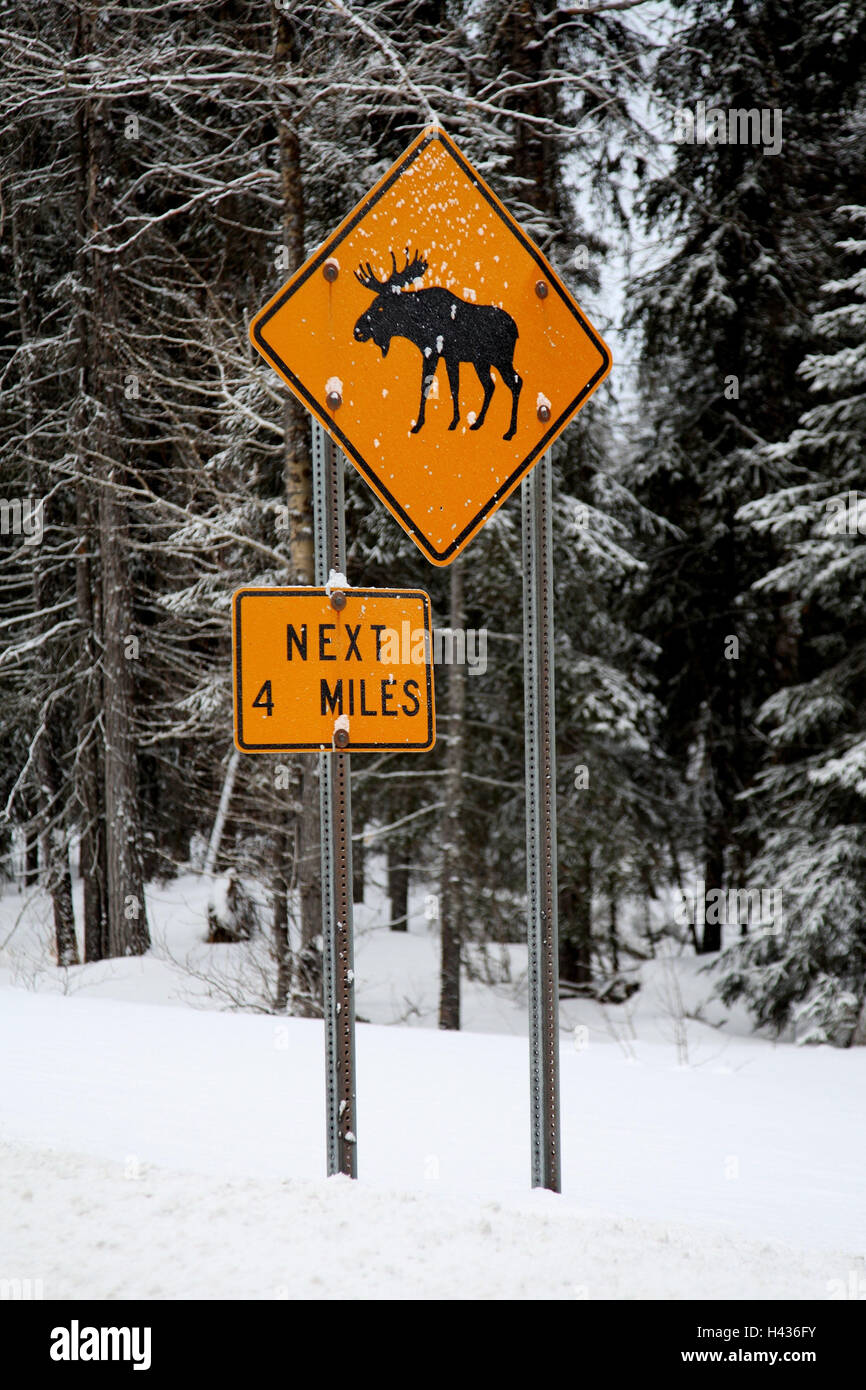 Road sign, elk Stock Photo - Alamy