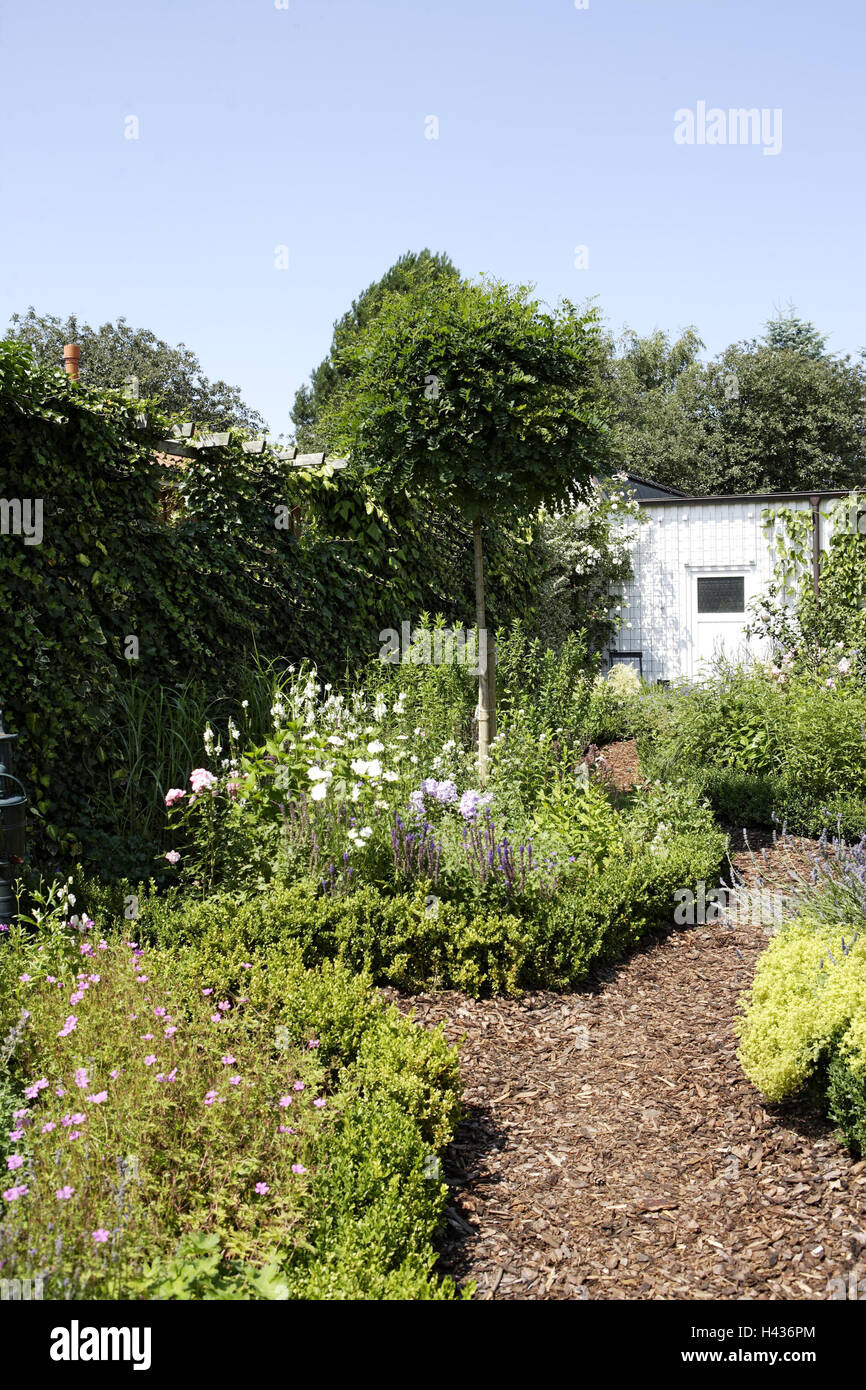 Small garden shrubs hi-res stock photography and images - Alamy