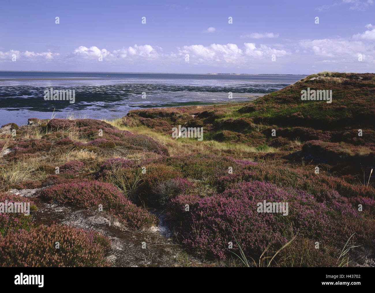 Germany, Schleswig - Holstein, island Sylt, Wennigstedt, white cliff ...