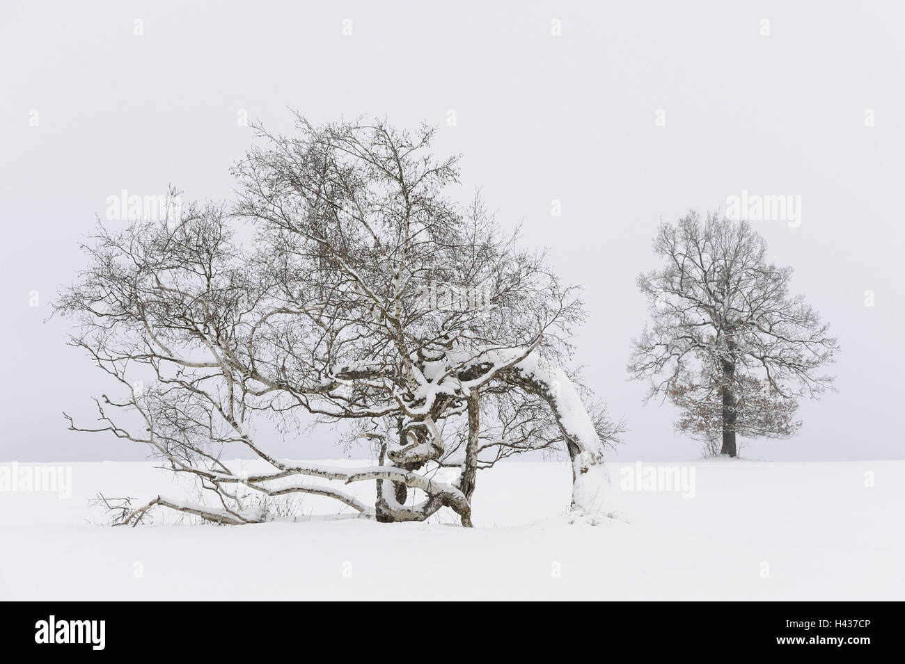 Nightmare scenery hi-res stock photography and images - Alamy