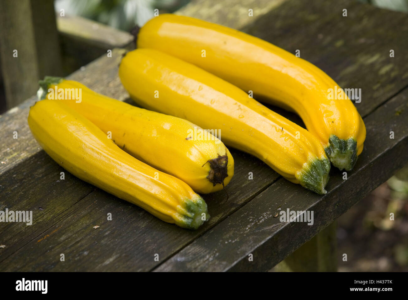 wooden boards, courgette, four, yellow, garden, vegetables, pumpkin ...
