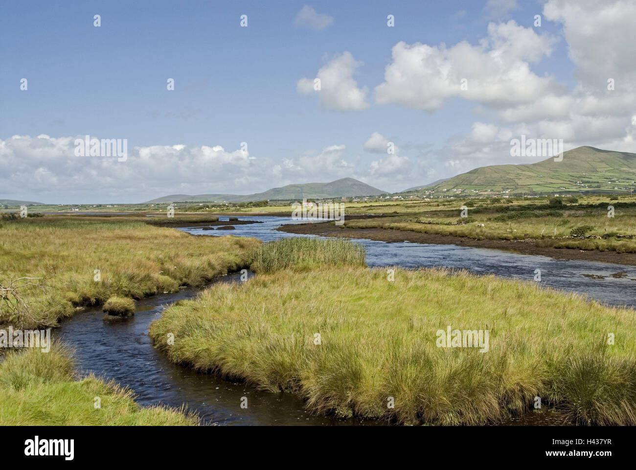 Ireland, Munster, Kerry, Iveragh Peninsula, Cahirciveen, river scenery ...