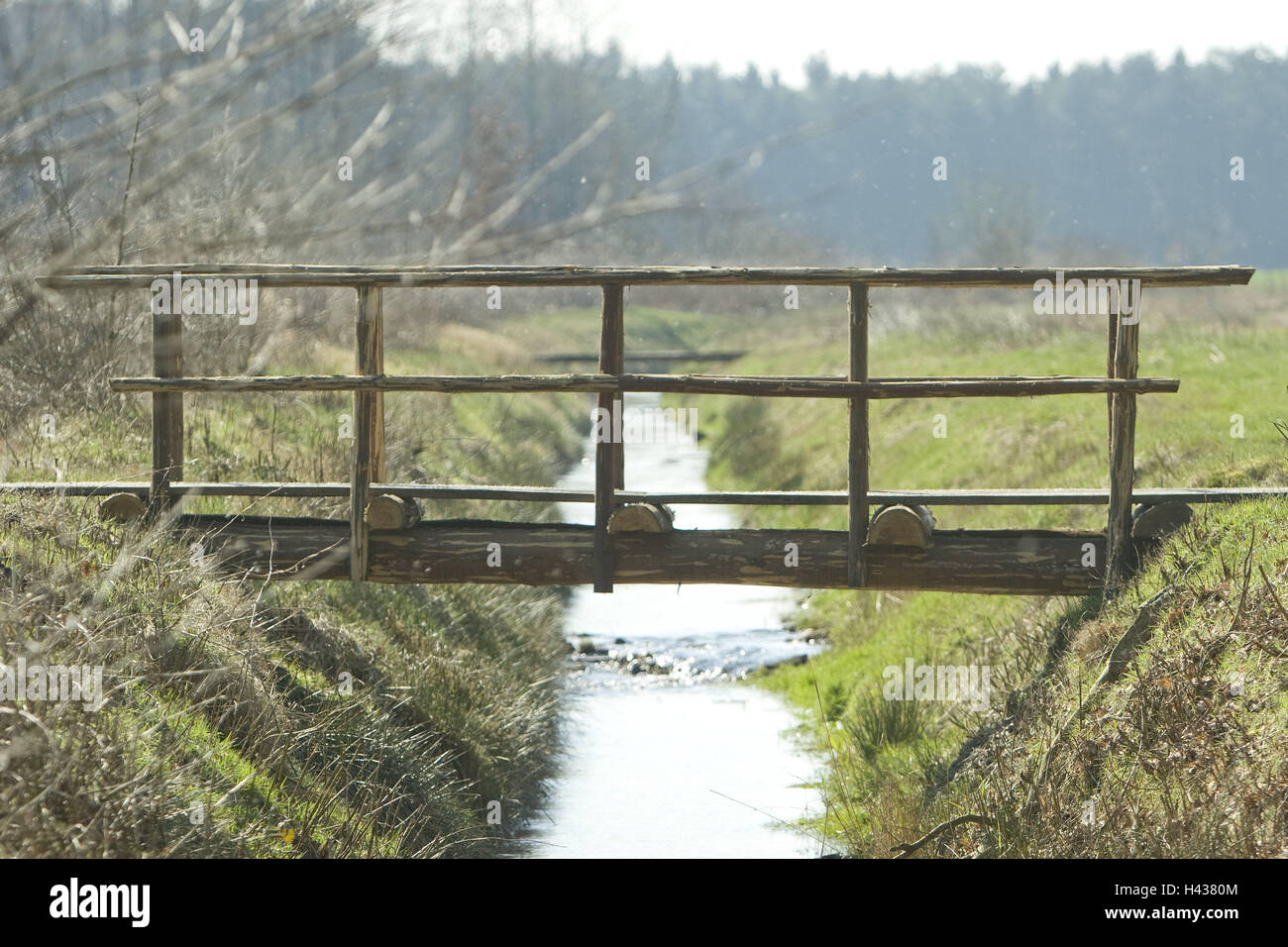 Field margin, brook, wooden bridge, meadow, margin, edge the forest ...