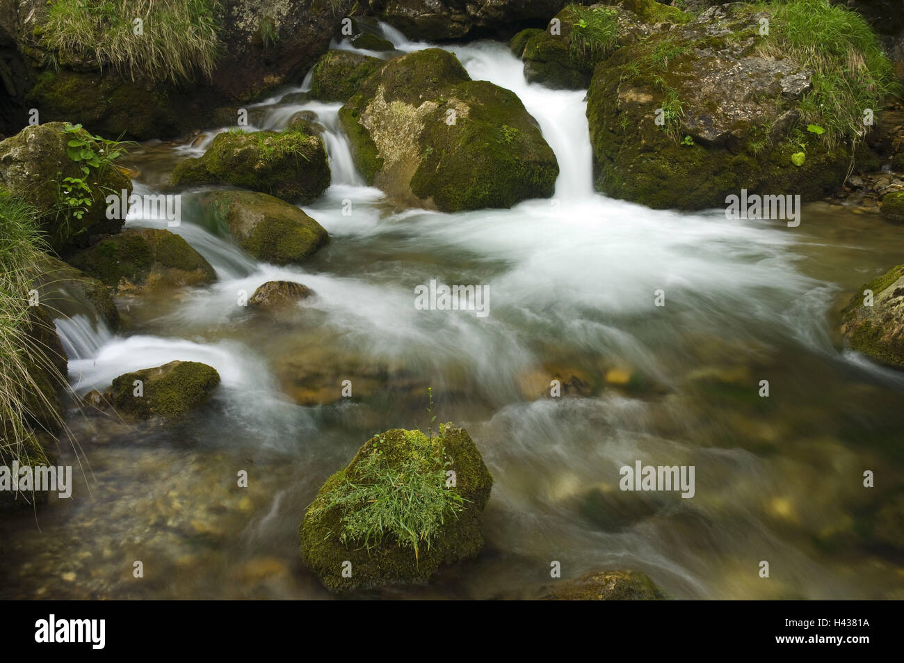 Mountain brook Varinka, Stefanova, national park 'Mala Fatra', province ...