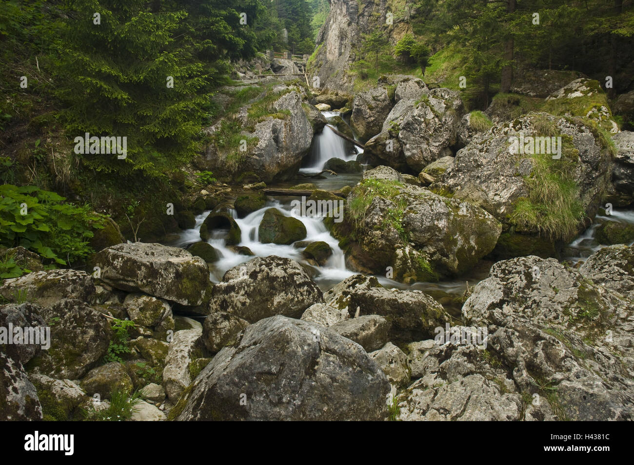 Mountain stream Varinka, Stefanova, national park 'Mala Fatra ...