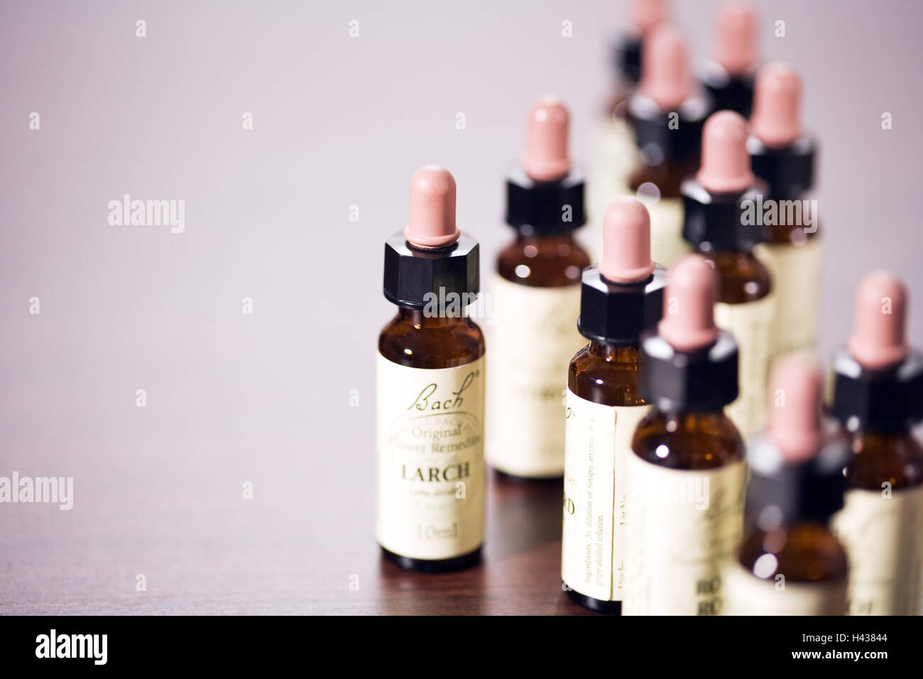 Brook blossoms hi-res stock photography and images - Alamy