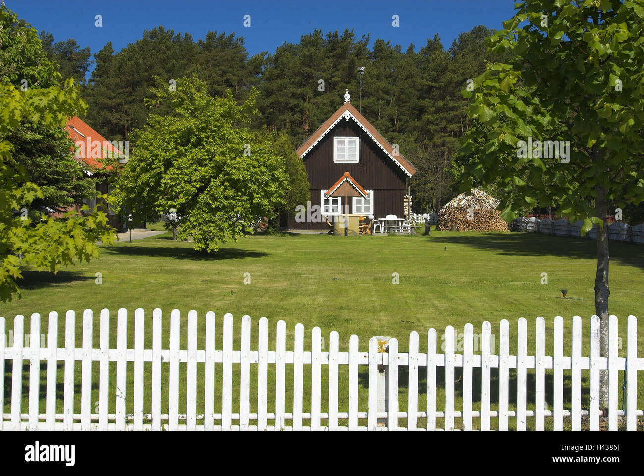 Summer cottage, garden, Pervalka, national park health resort broad bay ...