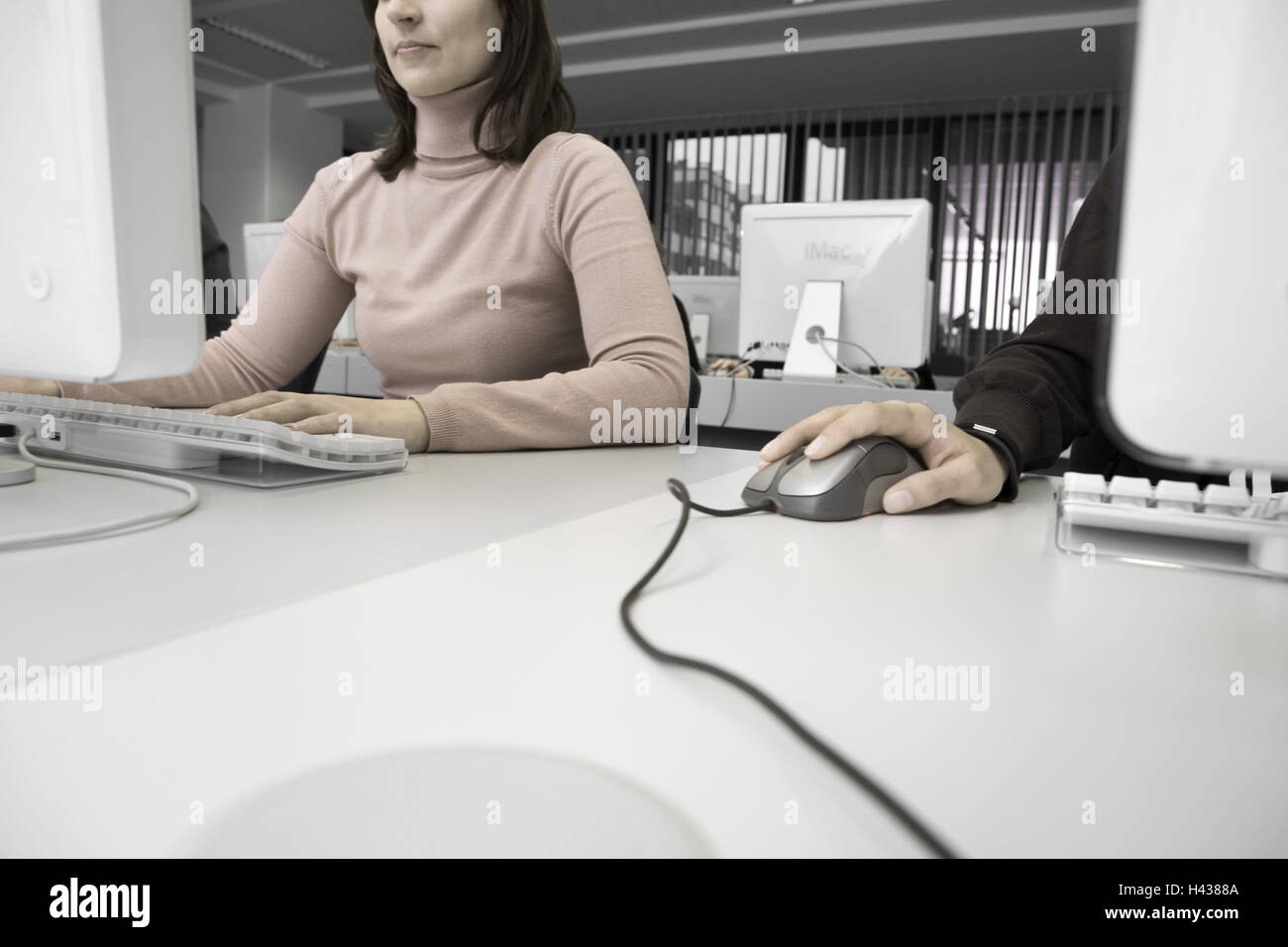 Office, men, women, computer work, detail Stock Photo - Alamy