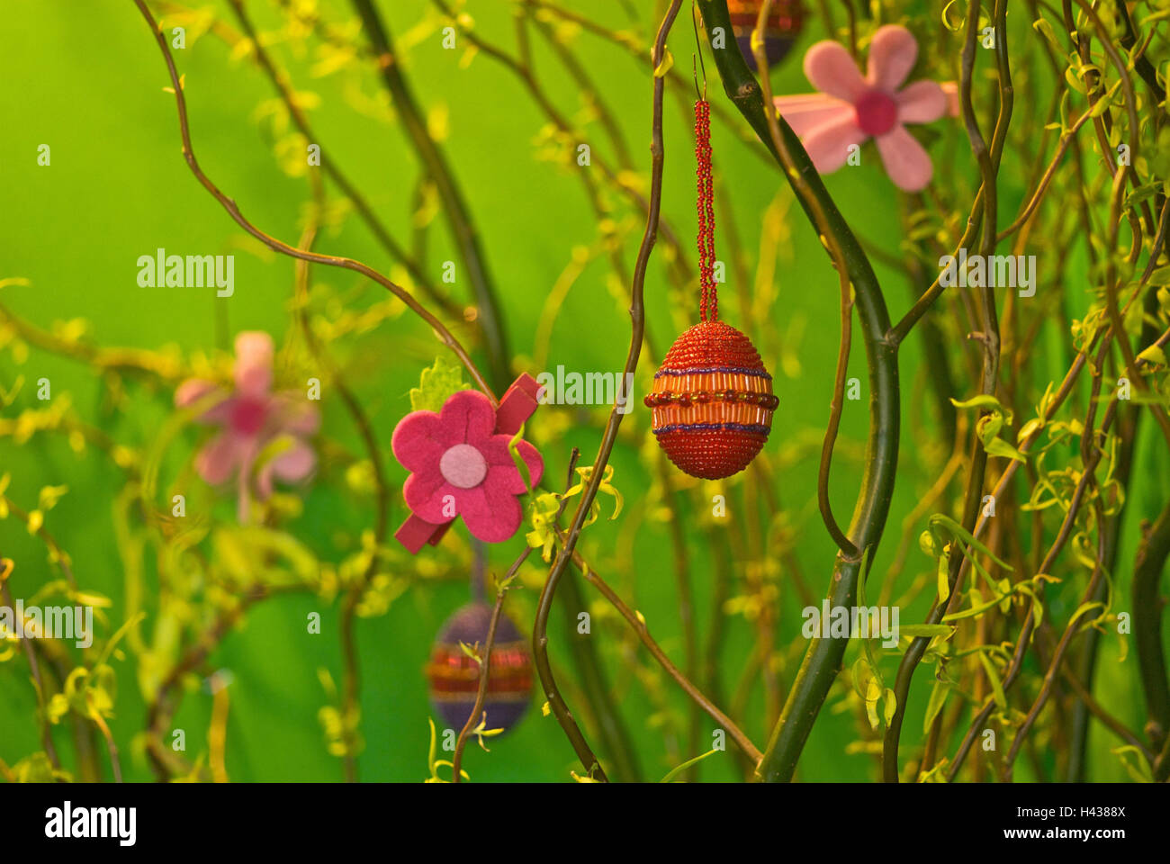 Easter shrub, Easter eggs, substance flowers, brightly, hang, Deko ...