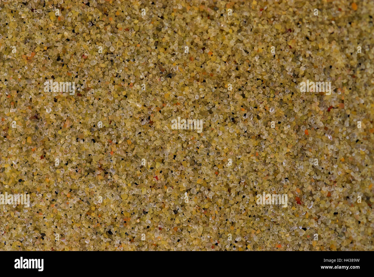 Sand centre punch, close up Stock Photo - Alamy