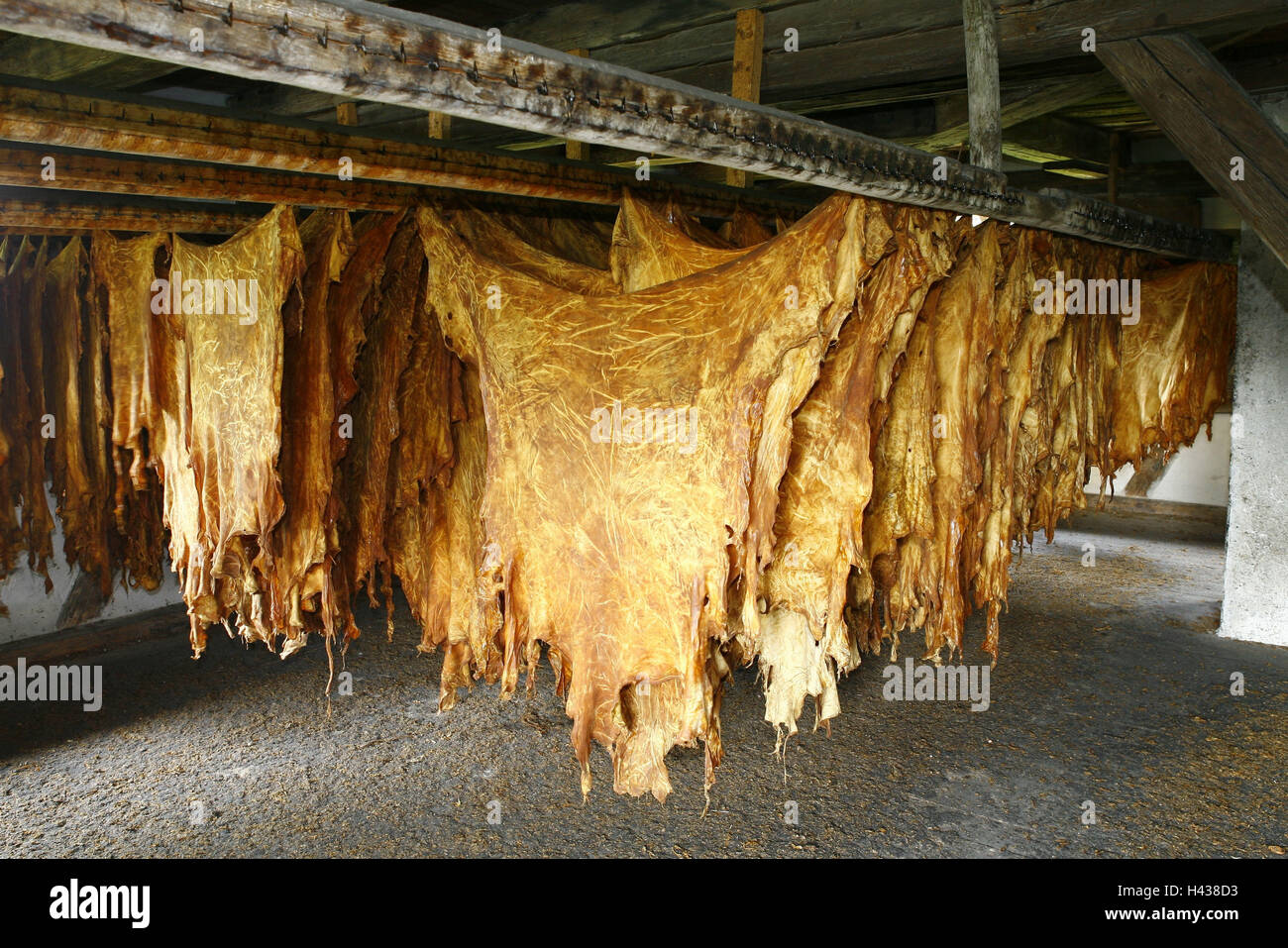 Shells production hi-res stock photography and images - Alamy