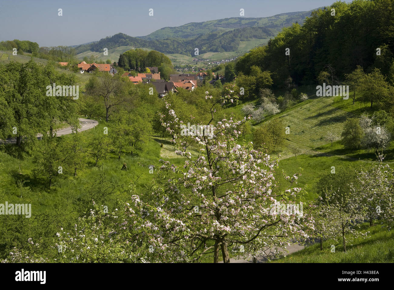 Oberkirch hi-res stock photography and images - Alamy