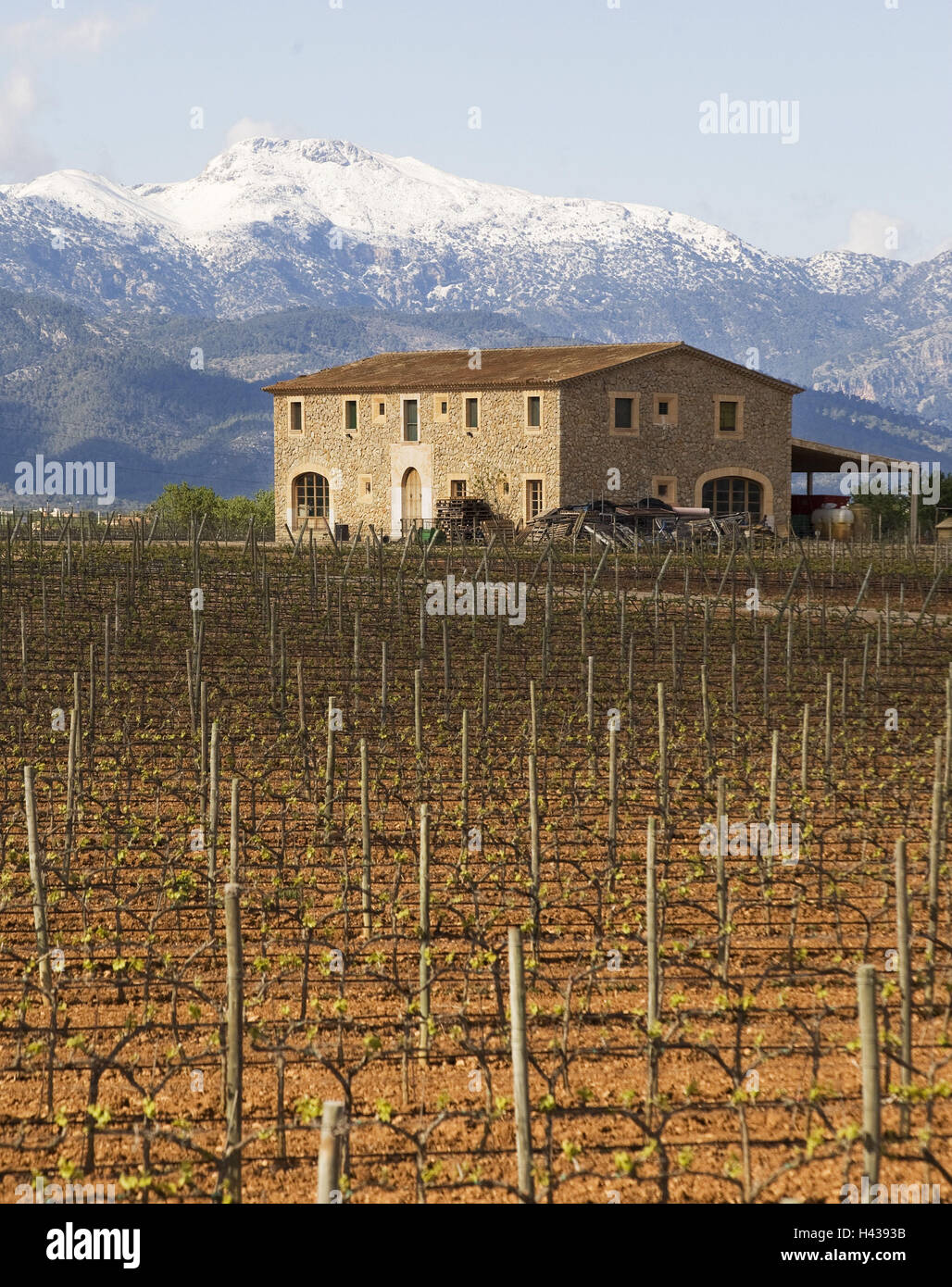 Spain, the Balearic Islands, island Majorca, Sencelles, Biniali ...