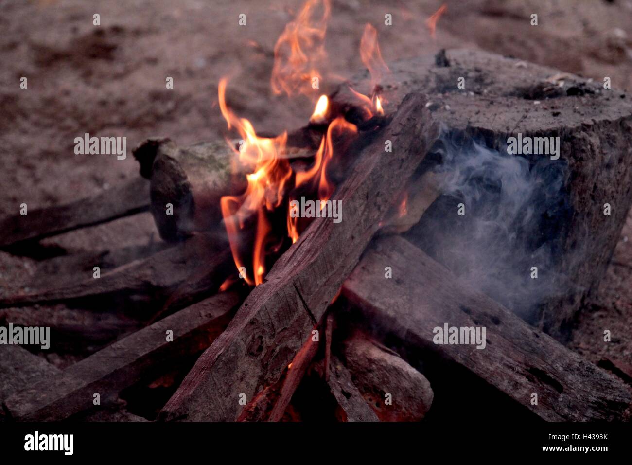 Firewood and animal bone in rural thai knowledge Stock Photo - Alamy