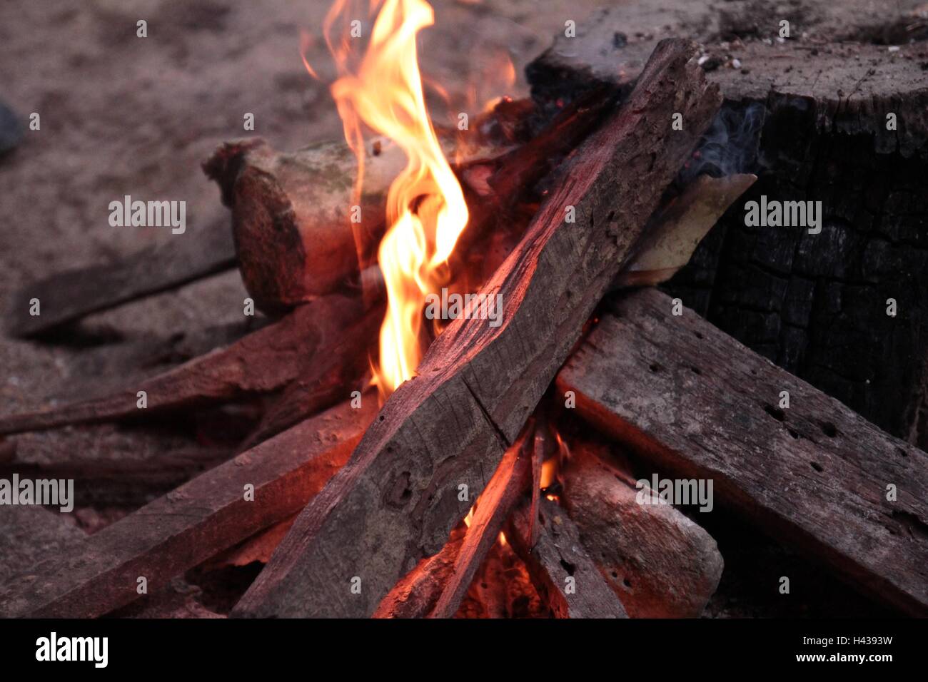 Firewood and animal bone in rural thai knowledge Stock Photo - Alamy