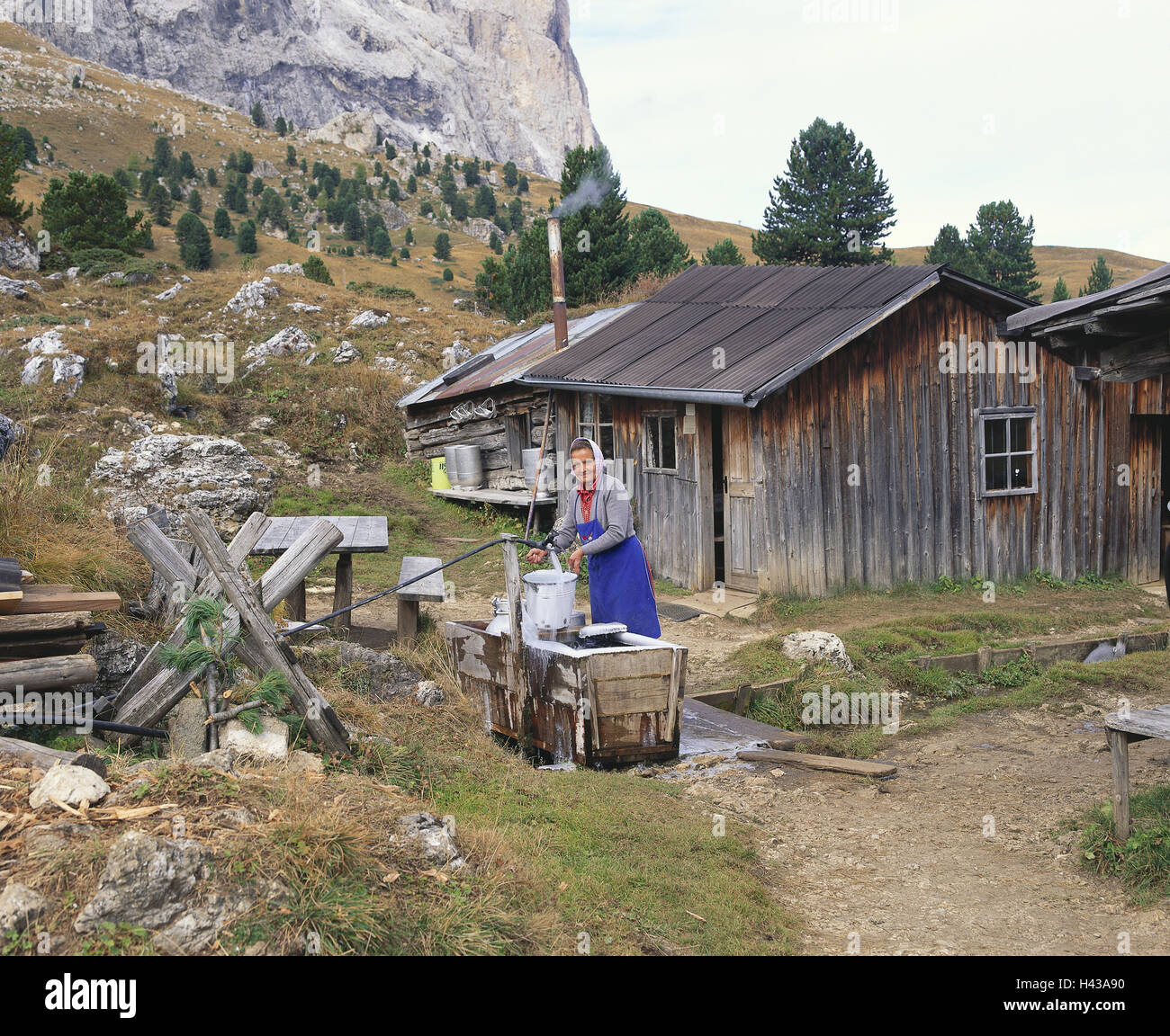 Italy, South Tirol, Grödner valley, Langkofel, high-level alp, Sennerin ...