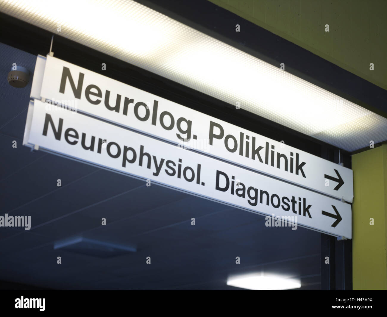 Neurology hi-res stock photography and images - Alamy