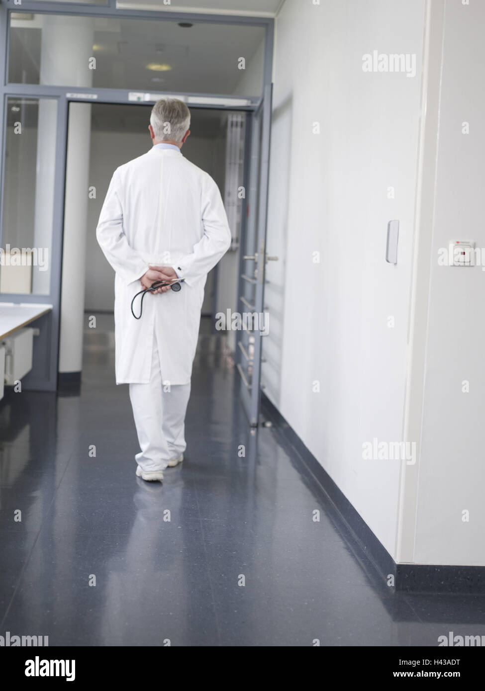 Doctor, hospital hallway, go, back view Stock Photo - Alamy