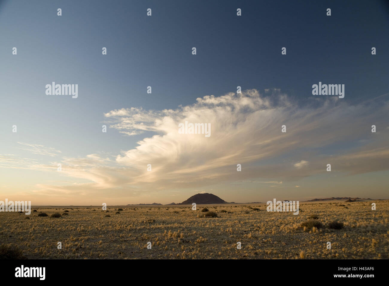 Namibia, scenery, desert, grass, evening mood, Africa, wild scenery ...